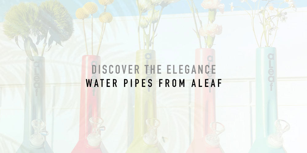 Discover the Elegance: Water Pipes from aLeaf – aLeaf Glass