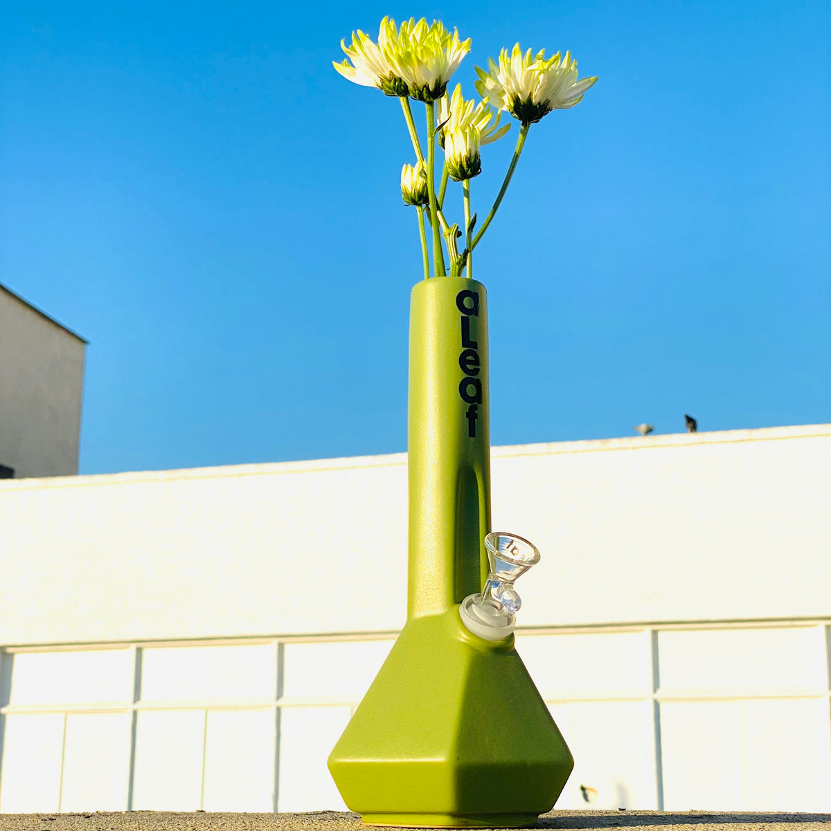 10" aLeaf® Ceramic Flora Water Pipe – aLeaf Glass